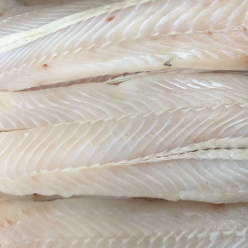 Cod (hoki) Fillets NZ – Stoney the Fishmonger