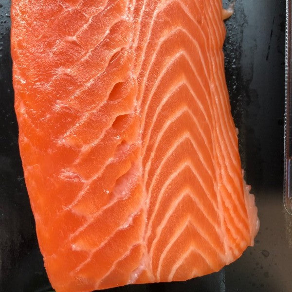 Sashimi Salmon - Sashimi Loin – Stoney the Fishmonger