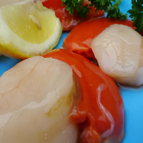 Scallop Meat - Tasmanian – Stoney the Fishmonger